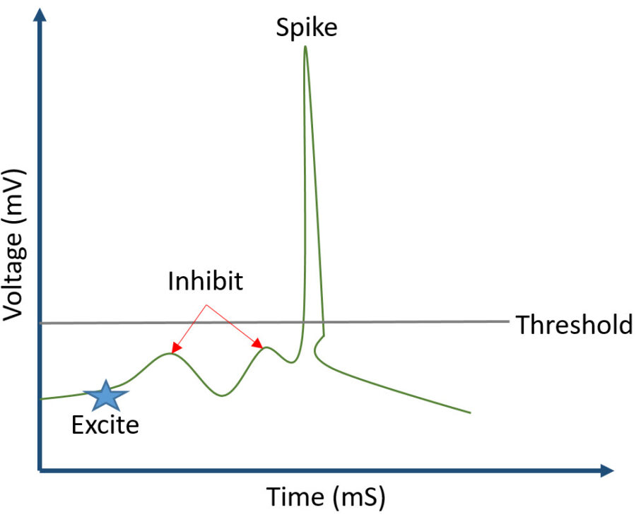 AI Foundations: Mapping neurons to a model - Thought Leadership