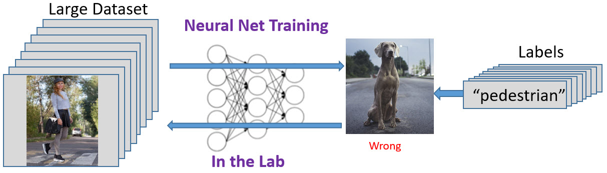 AI Foundations: How does neural network training work? - Thought Leadership