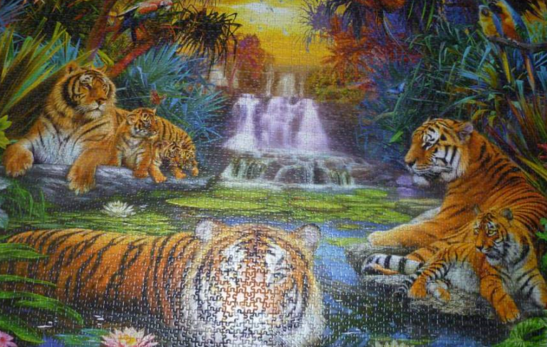 DVCon 2024 – Verify Real Number Models - Verification Horizons