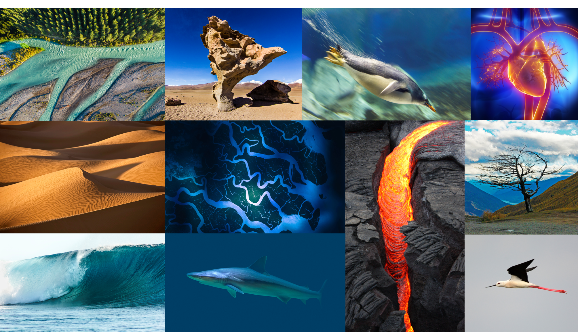 Topology optimization – CFD creating designs like nature - Simcenter