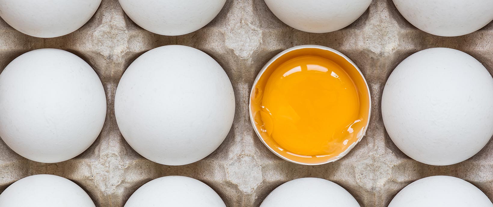 Digital Debunking: Can the Humble Egg Support the Weight of a Person ...