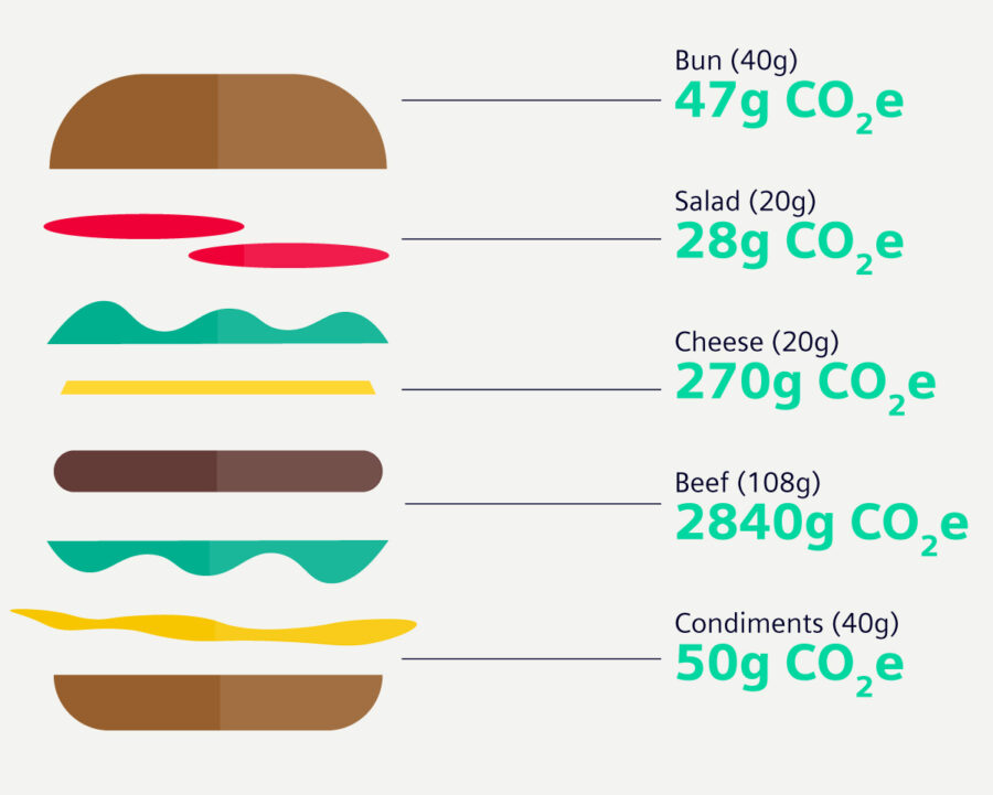 Engineering the low-carbon, cruelty-free, lab-grown hamburger of the ...