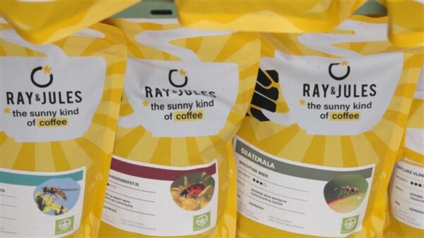 Up to 3 times less energy: clean-tech coffee roaster innovators CEE and ...